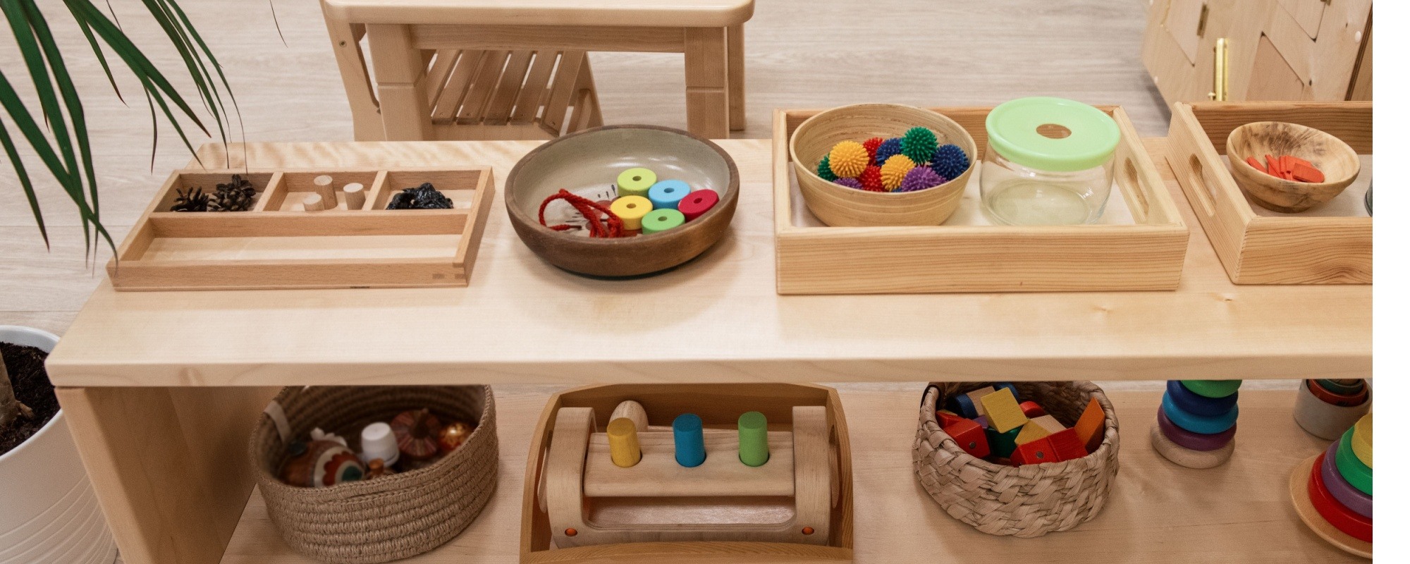 Why Should You Choose Montessori vs. Traditional Preschool?